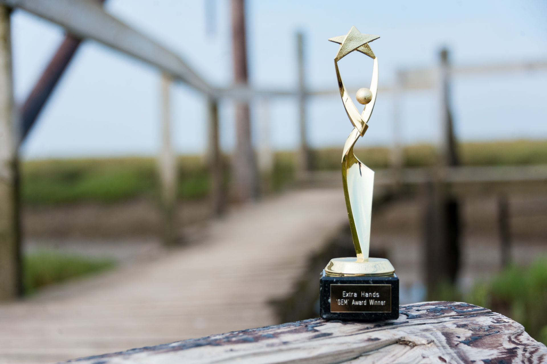 Care provider recognises staff ‘worth their weight in gold’ at GEM awards