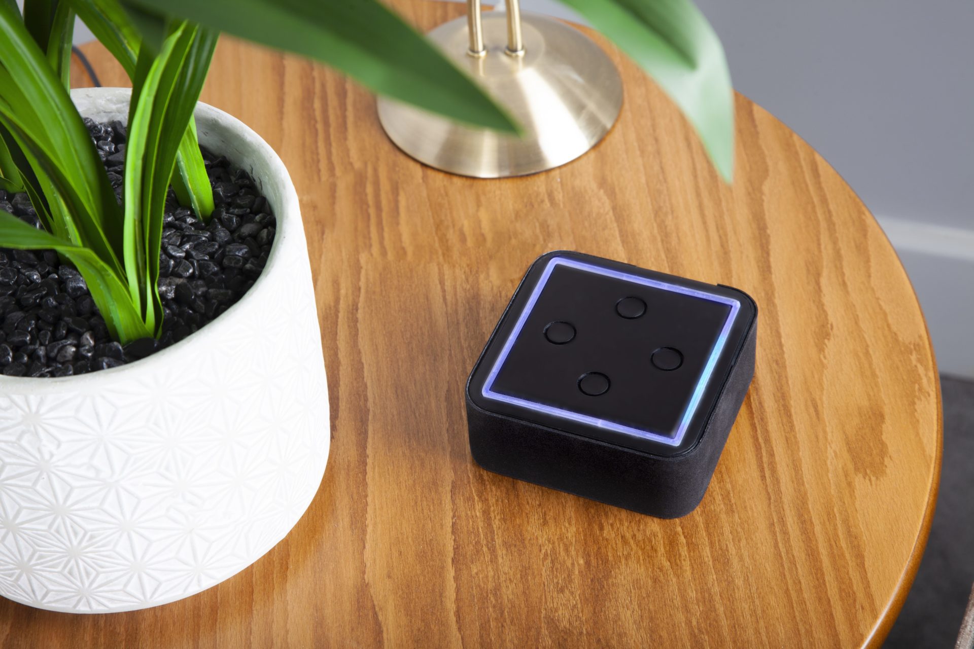 HOME CARE SOLUTIONS OF THE YEAR 2020: Sentai