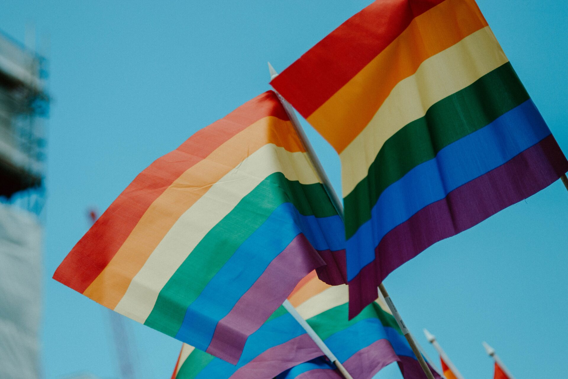 LGBTQIA+ people hide true selves when entering into social care