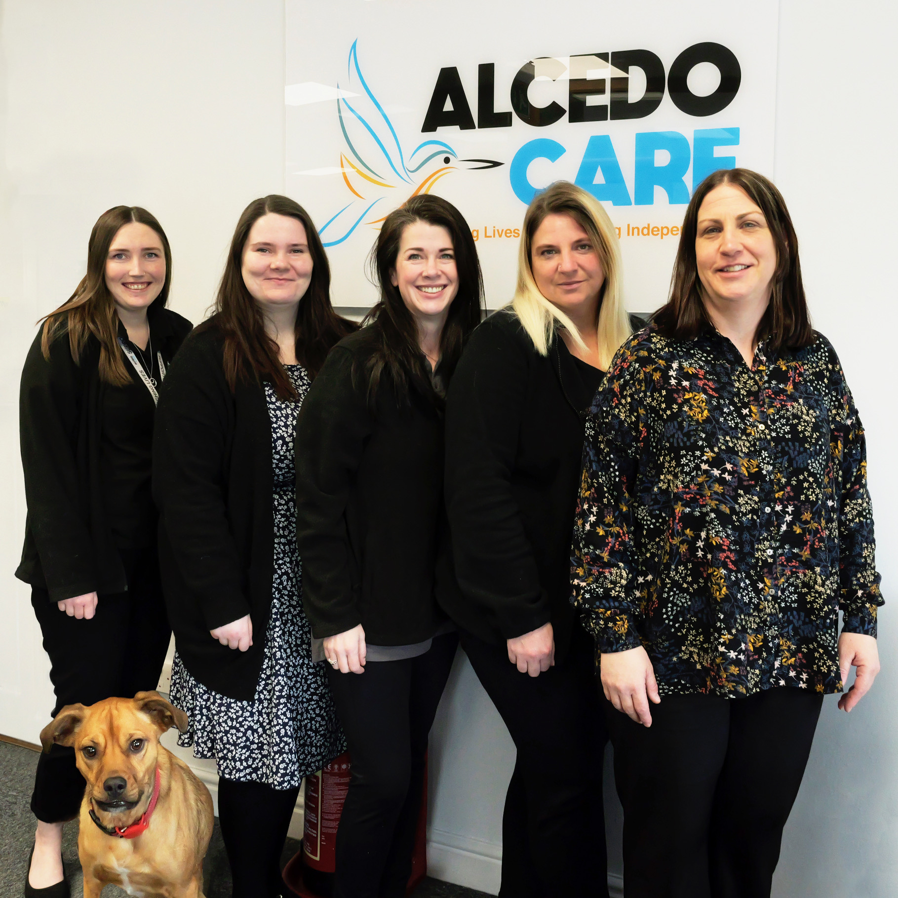 Alcedo Care Group opens new £225k office in Wales